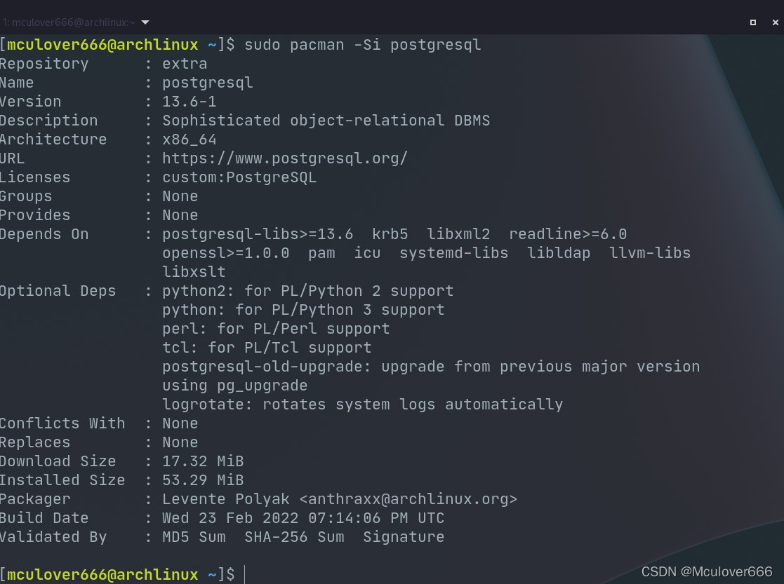 PostgreSQL | Arch Linux安装PostgreSQL_arch系统如何安装pg-CSDN博客