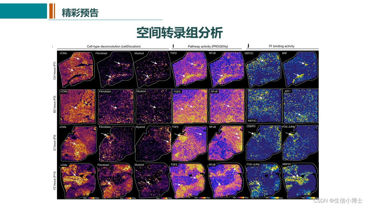 2023-11-28-直播单细胞图表美化-seurat数据结构 featureplot dotplot vlnplot_nebulosa如何 ...