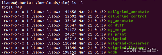 如何移植valgrind到arm开发板_vargrind linux arm移植-CSDN博客
