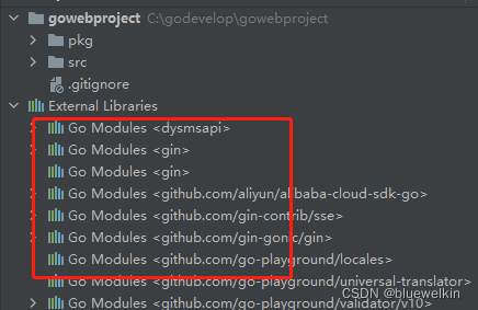 go篇2----常用命令与报错解决_dial tcp 142.251.42.241:443: connect: connection r-CSDN博客