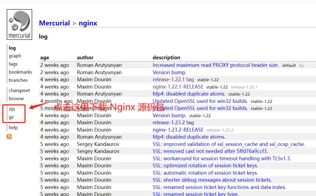 如何在 Visual Studio 编译调试 Windows 版本的 Nginx 源码？_visual studio中怎么使用ngix-CSDN博客