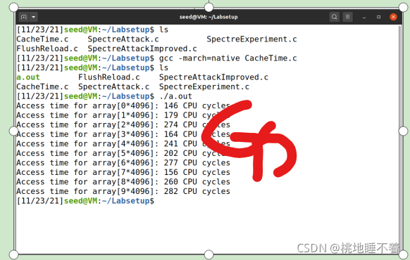 从入门到入土：[SEED-Lab]-幽灵攻击|Spectre Attack Lab|详细说明|实验步骤|实验截图_seedubuntu20.04中的xxs攻击实验-CSDN博客
