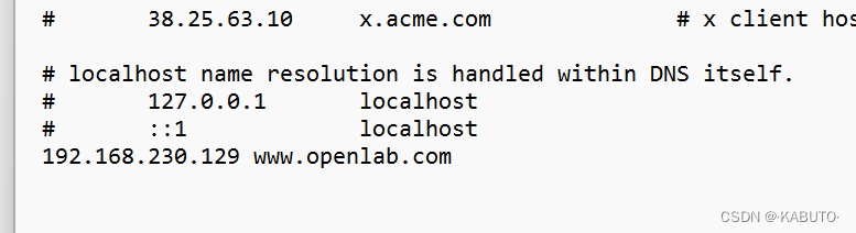 配置OpenLab网站子界面及SSL安全连接,-CSDN博客