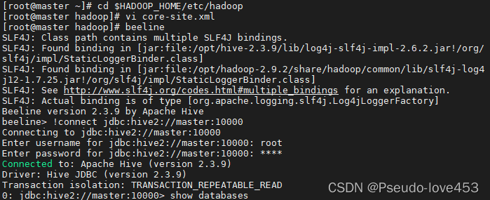 HadoopHive配置及与MySQL元数据库集成教程-CSDN博客