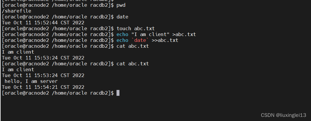 Linux 下创建NFS共享目录_linux两台服务器共享目录-CSDN博客