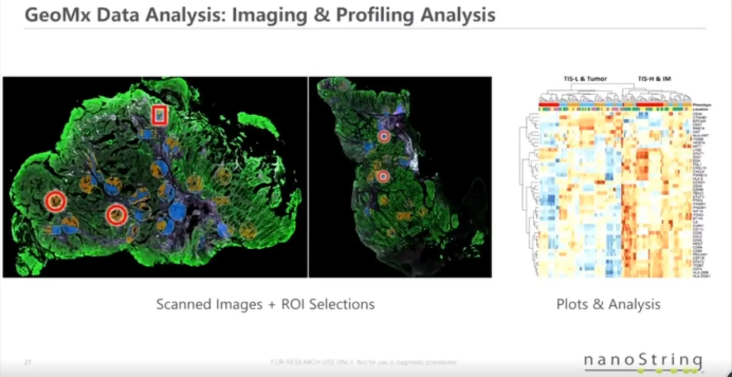 空间转录组检测靶点定量技术----Digital Spatial Profiler（DSP）_dsp空间转录组-CSDN博客