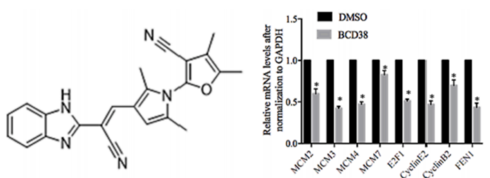 AbMole| 解旋酶活性筛选，DHX33成为潜力抗癌靶点-CSDN博客