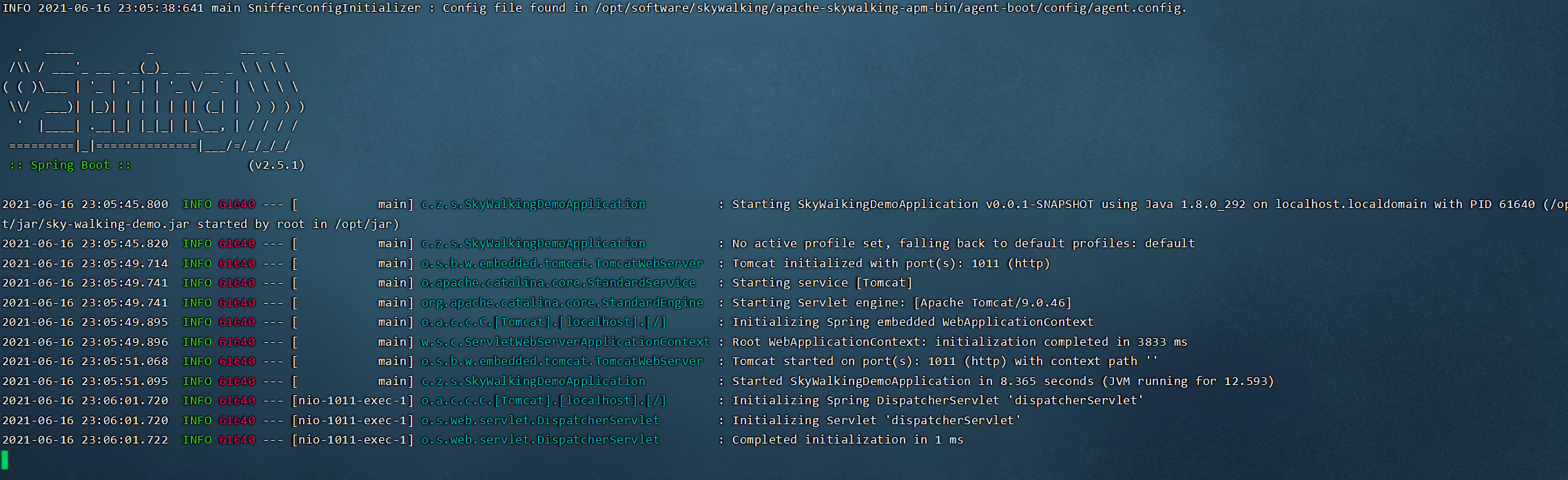SkyWalking搭配springboot应用(三)_springboot3 skywalking-CSDN博客