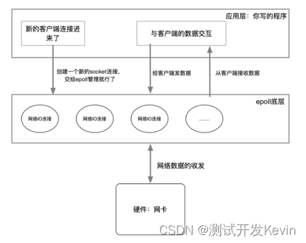 五分钟帮您理解Linux网络核心知识点——socket和epoll_socket epoll-CSDN博客