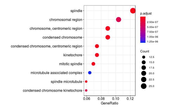 r语言进行go富集分析_GOplot画出别样的GO富集分析图-CSDN博客