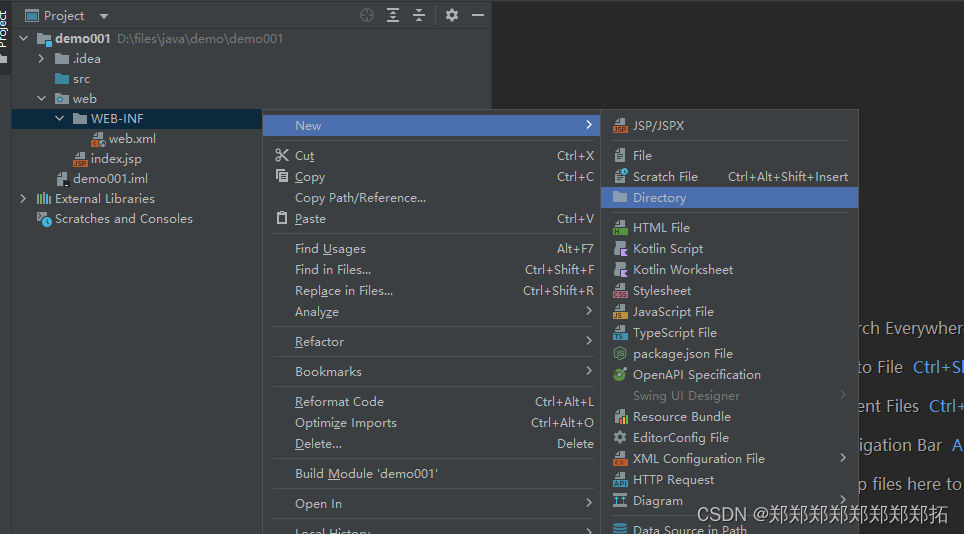 IDEA2022 创建tomcat以及servlet项目_idea 2022 如何添加tomcat-CSDN博客