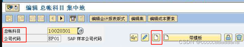 【FI-GL- 维护主数据】创建总账科目（FS00）前台_sap fs00-CSDN博客