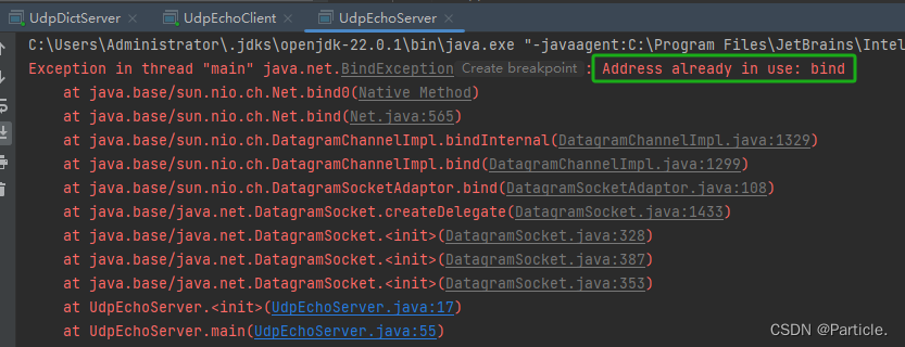 UDP数据报套接字编程_udp套接字 datagram-CSDN博客