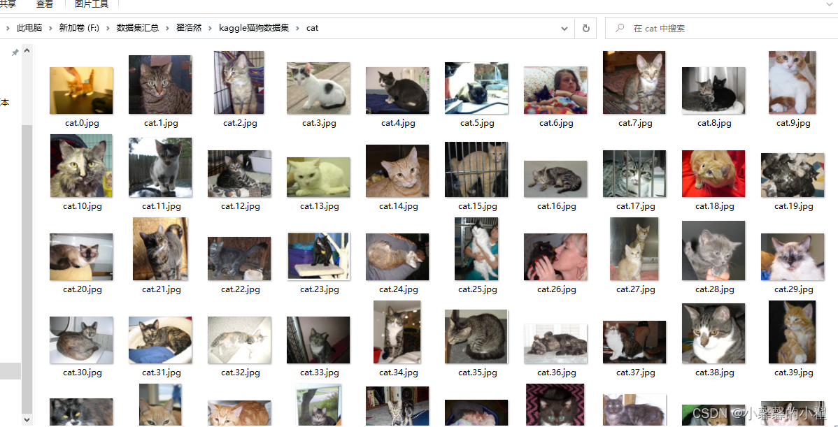 kaggle猫狗数据集开源——用于经典CNN分类实战_: open source ecg analysis software(osea)-CSDN博客