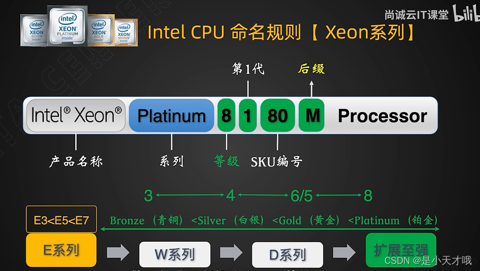 服务器硬件学习-CPU-CSDN博客