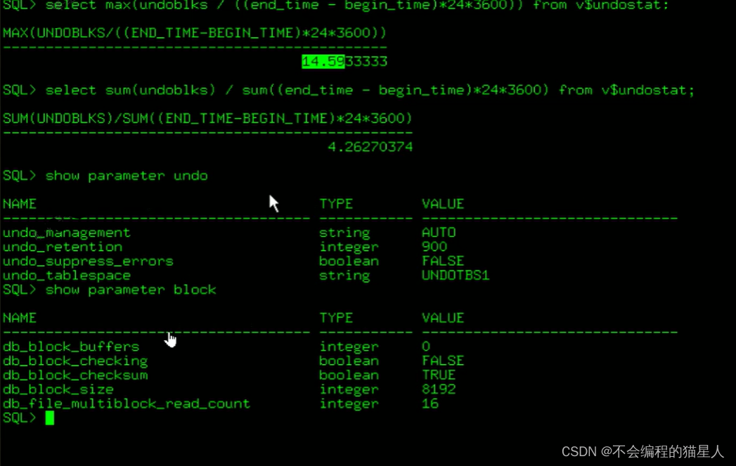 Oracle（10）Managing Undo Data_一个实例有几个undo-CSDN博客