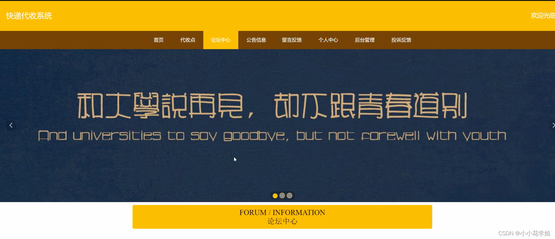 Java毕设项目快递代收系统（javavuemybatismavenmysql）使用vue3和mybatis完成快递柜管理系统实现