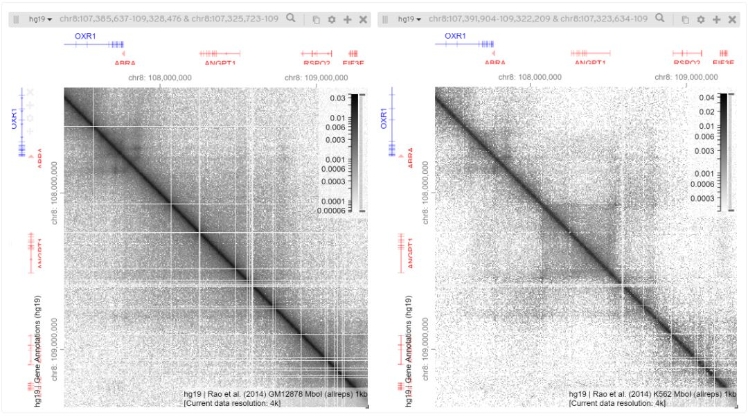 HiGlass:高度定制的Hi-C数据可视化应用-CSDN博客