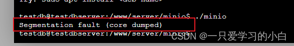 关于minio 启动报错 Segmentation fault (core dumped)_minio启动报错-CSDN博客