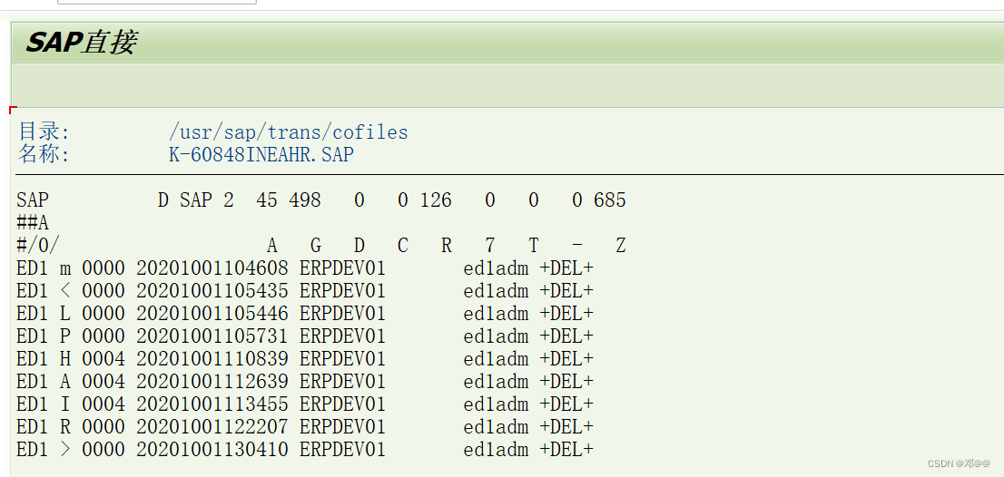 SAP服务器文件管理操作指南：AL11、CG3Y、CG3Z事务码详解-CSDN博客