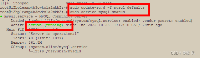 ubuntu安装mysql8.0-CSDN博客