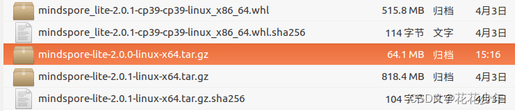 MindSporeLite之converter_lite模型转换工具和benchmark模型推理工具_mindspore lite converter转换工-CSDN博客