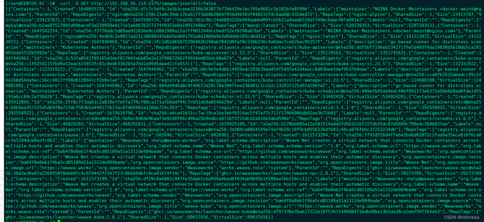 Docker Restful Api快速入门docker Api Csdn博客