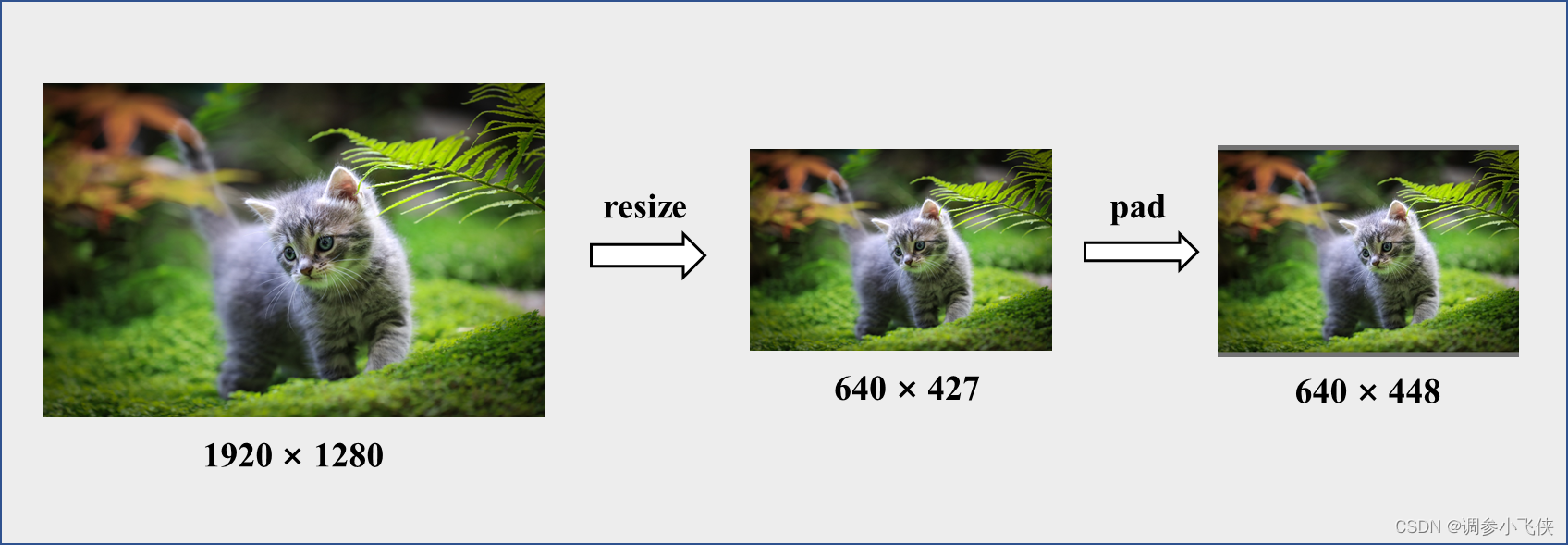 Yolov5之矩形推理_yolov5 resize-CSDN博客