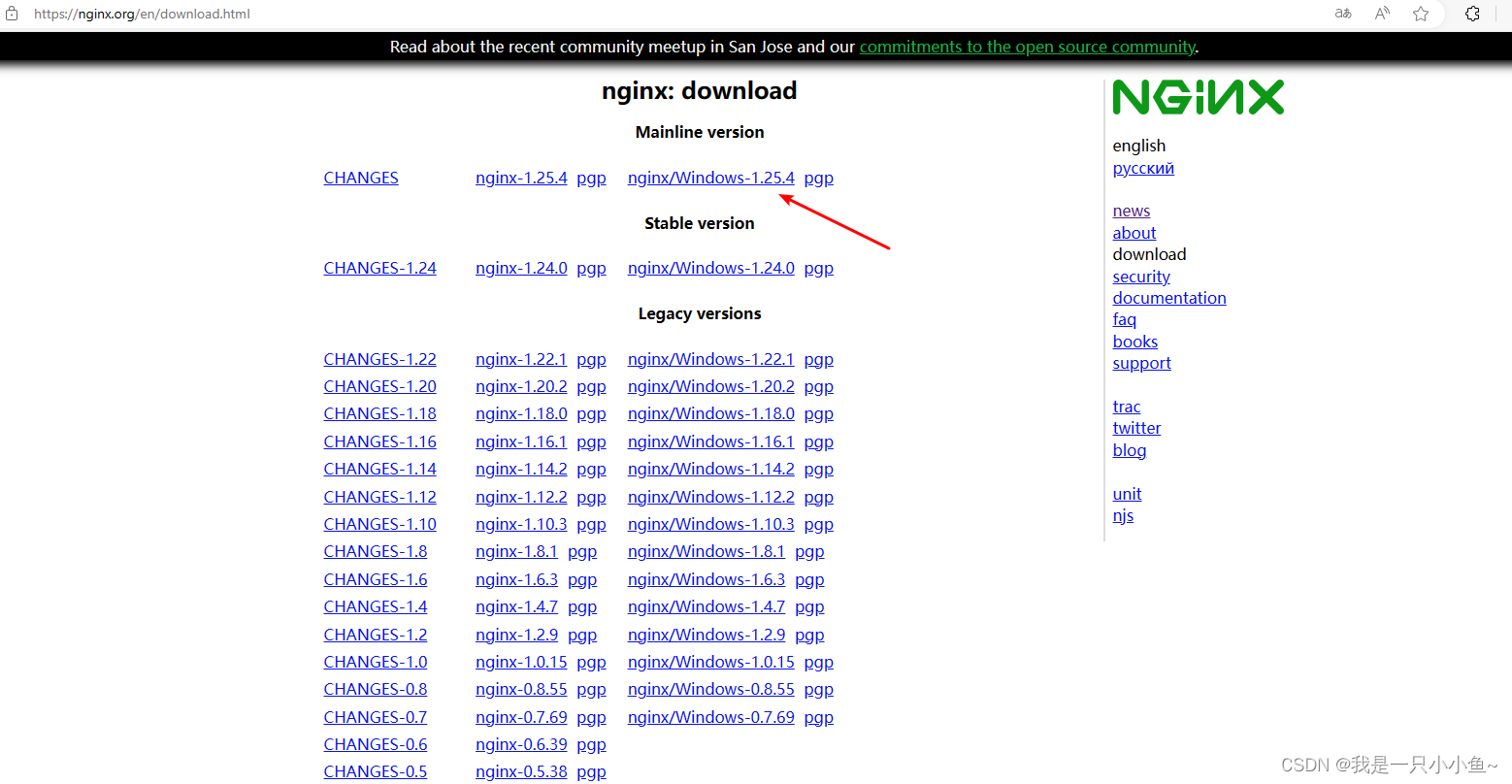 深入理解与部署NGINX：Web服务器、配置及代理Swagger应用-CSDN博客