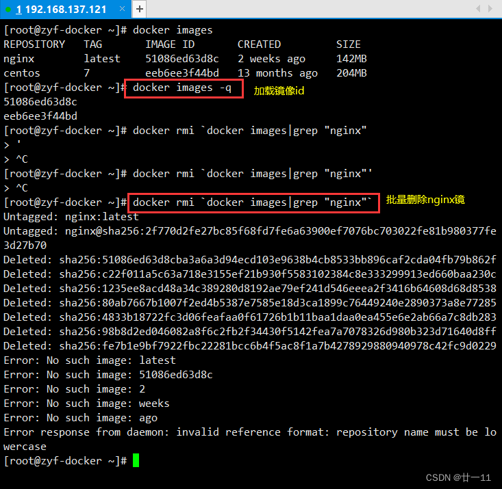 Docker：（三）docker镜像与容器基本的基本操作_在容器立面输入docker ps-CSDN博客