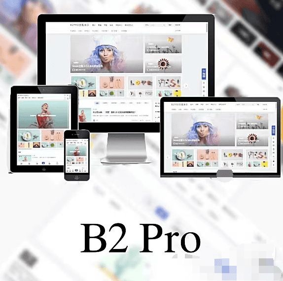 2024 最新WordPress B2 Pro 主题模板源码v5.2.0 开心版-CSDN博客
