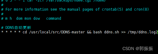 使用crontab定时自动更新DDNS-CSDN博客