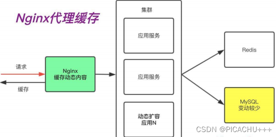 Nginx Web服务器入门及其在linux中的搭建linux用nginx搭建web服务器 Csdn博客