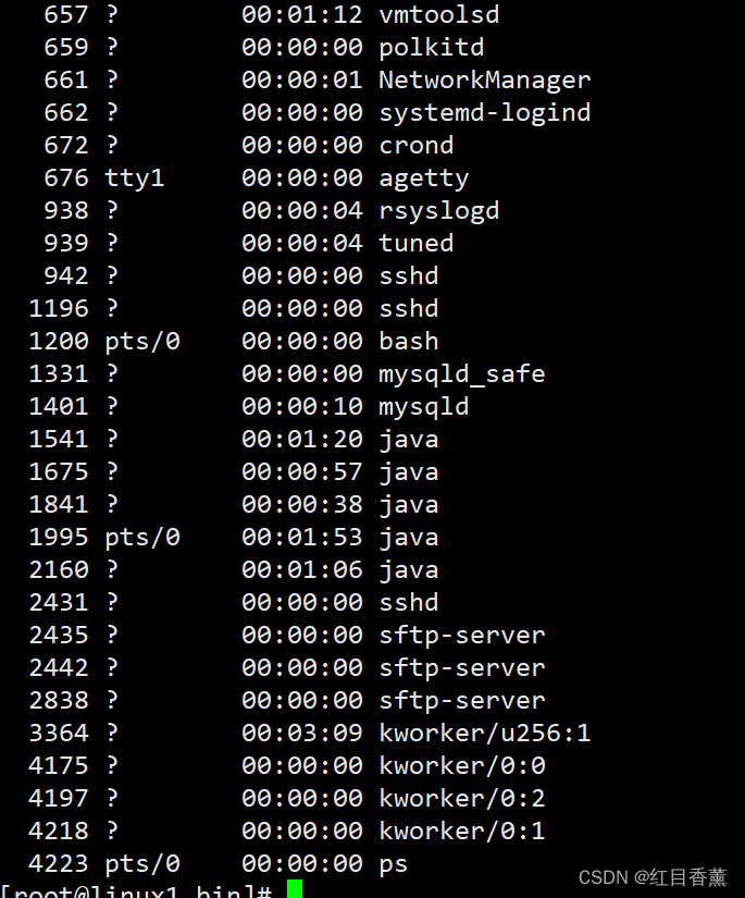 Linux常见面试题-ps查看进程命令_ps -ef| grep java-CSDN博客