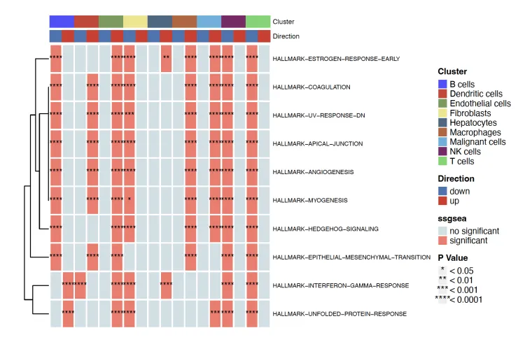 单细胞irGSEA分析:整合多种富集分析方式的R包-CSDN博客