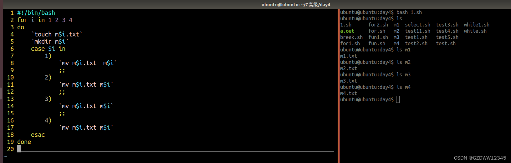 C高级day4作业-CSDN博客