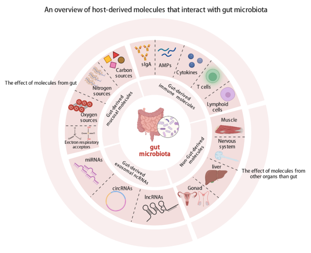 宿主基因组-微生物关联（mGWAS）新思路！_重组自交系群体可以做gwas吗-CSDN博客