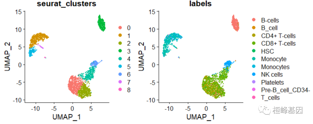 SCS【6】单细胞转录组之细胞类型自动注释 (SingleR)_单细胞注释-CSDN博客