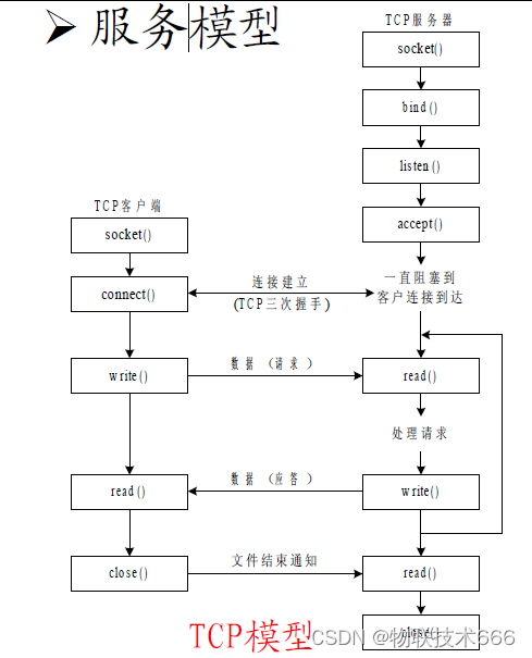嵌入式培训机构四个月实训课程笔记(完整版) Linux网络编程第二天 Tcp编程(物联技术666) Csdn博客