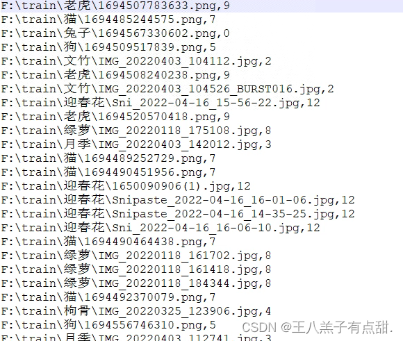 Pytorch目标分类深度学习自定义数据集训练自定义类继承pytorch Csdn博客