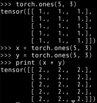 【笔记】EasyHPC - PyTorch入门教程-CSDN博客