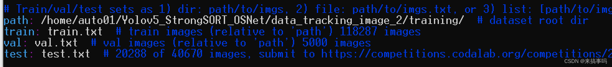 YOLO找不到label的解决方案_yolo label-CSDN博客