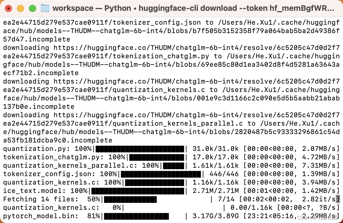 huggingface入门玩耍LLM Starter_mac huggingface-cli-CSDN博客