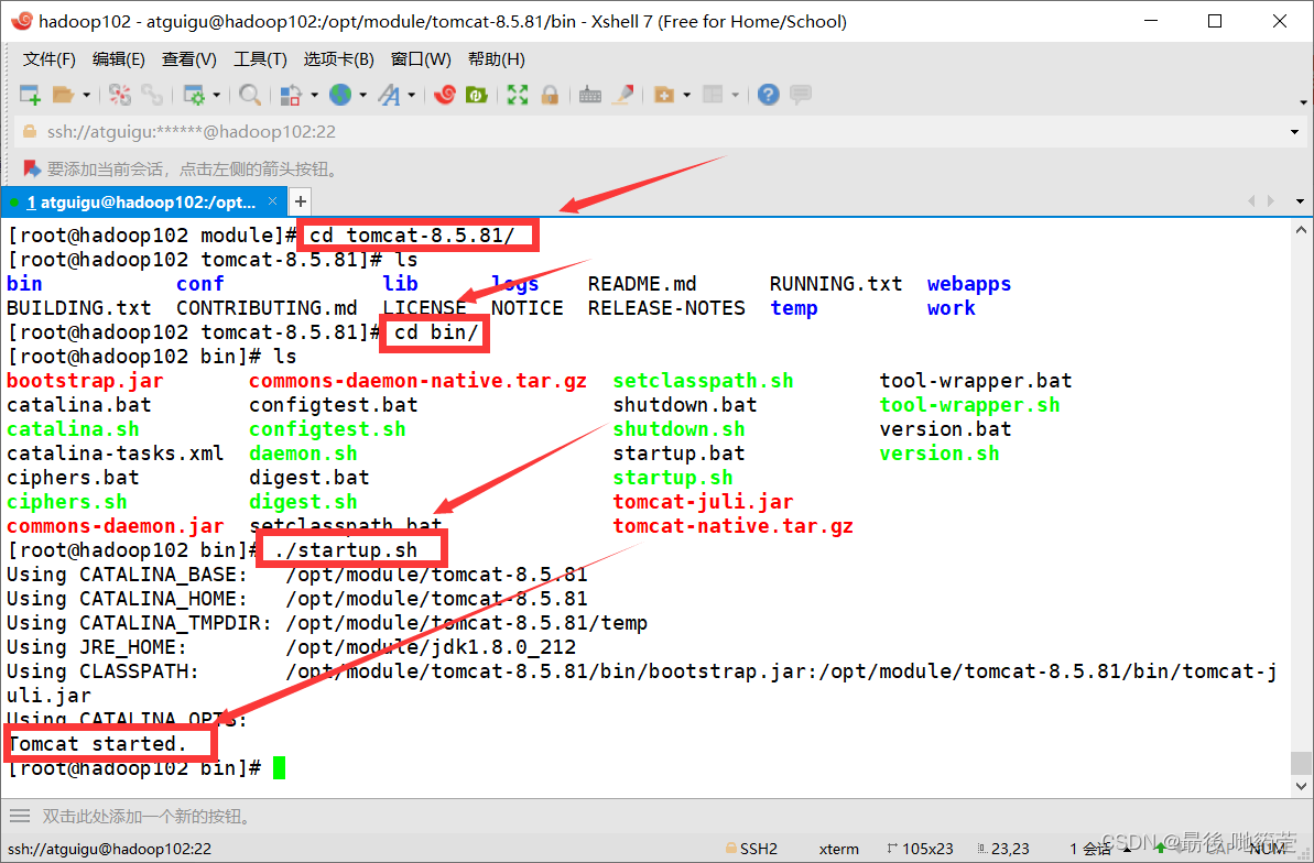 Linux系统中安装tomcat详细过程_linux tomcat8下载-CSDN博客