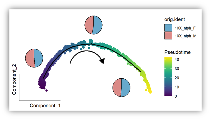ggplot2个性可视化monocle2结果_monocle2结果解读-CSDN博客