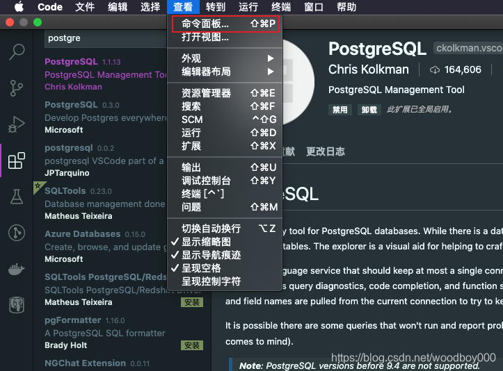 vscode中postgre插件的使用_vscode 连接pg数据库-CSDN博客