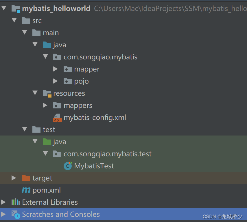 学习MyBatis，看这一篇就够了！_mybatis 定制化-CSDN博客