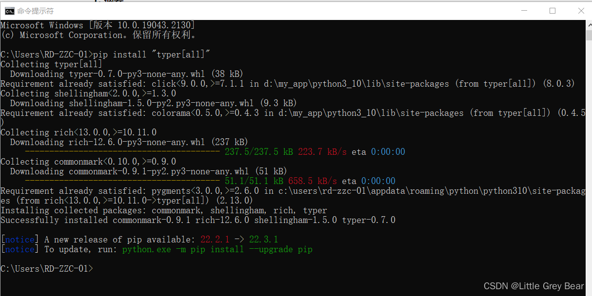 基于python的CLI应用程序开发(第一节)：简单了解一下Typer_python typer-CSDN博客