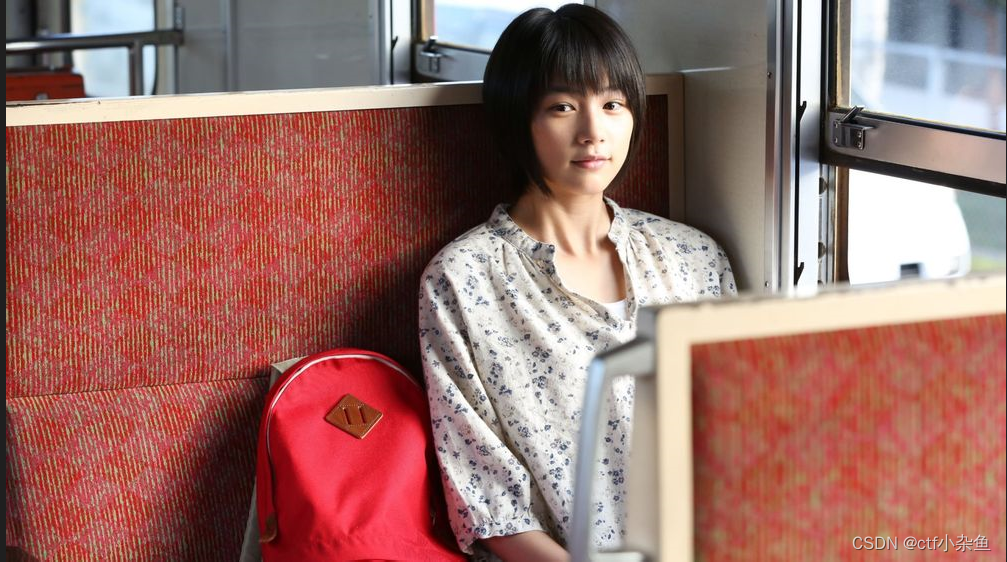 Misc:zm.png图片隐写_图片隐写zlib-CSDN博客